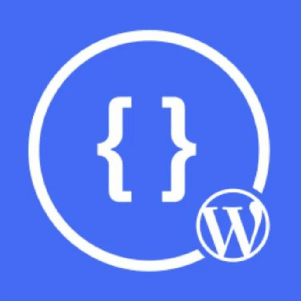 Advanced Scripts Manager - متجر ووردبريس